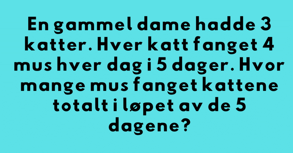 Hvor mange mus fanget kattene? – En utfordrende regnegåte!